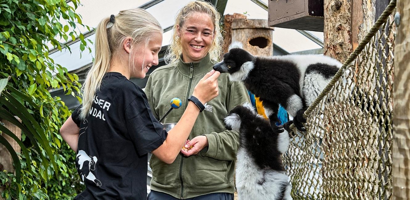 Jesperhus Feriepark - En park fuld af blomster og sjov
